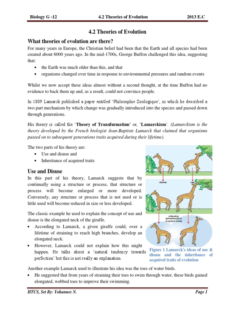 G-12 Biology, 4.2 Theories of Evolution | PDF | Natural Selection ...