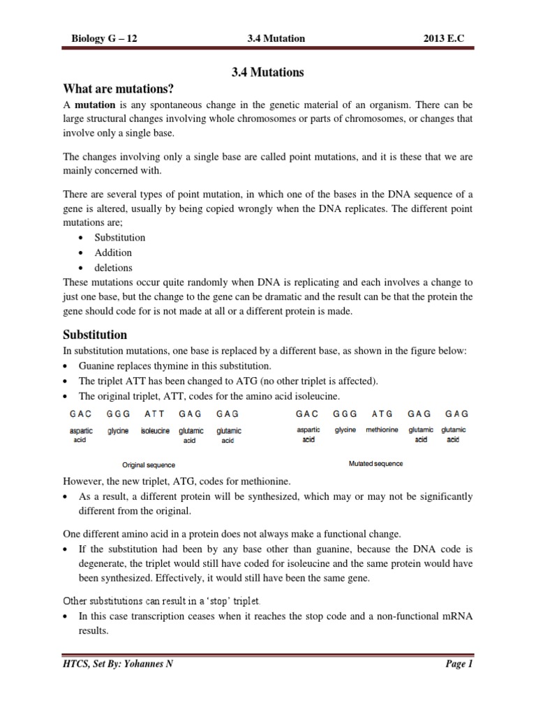 G-12 Biology, 3.4 Mutations | Download Free PDF | Point Mutation | Mutation