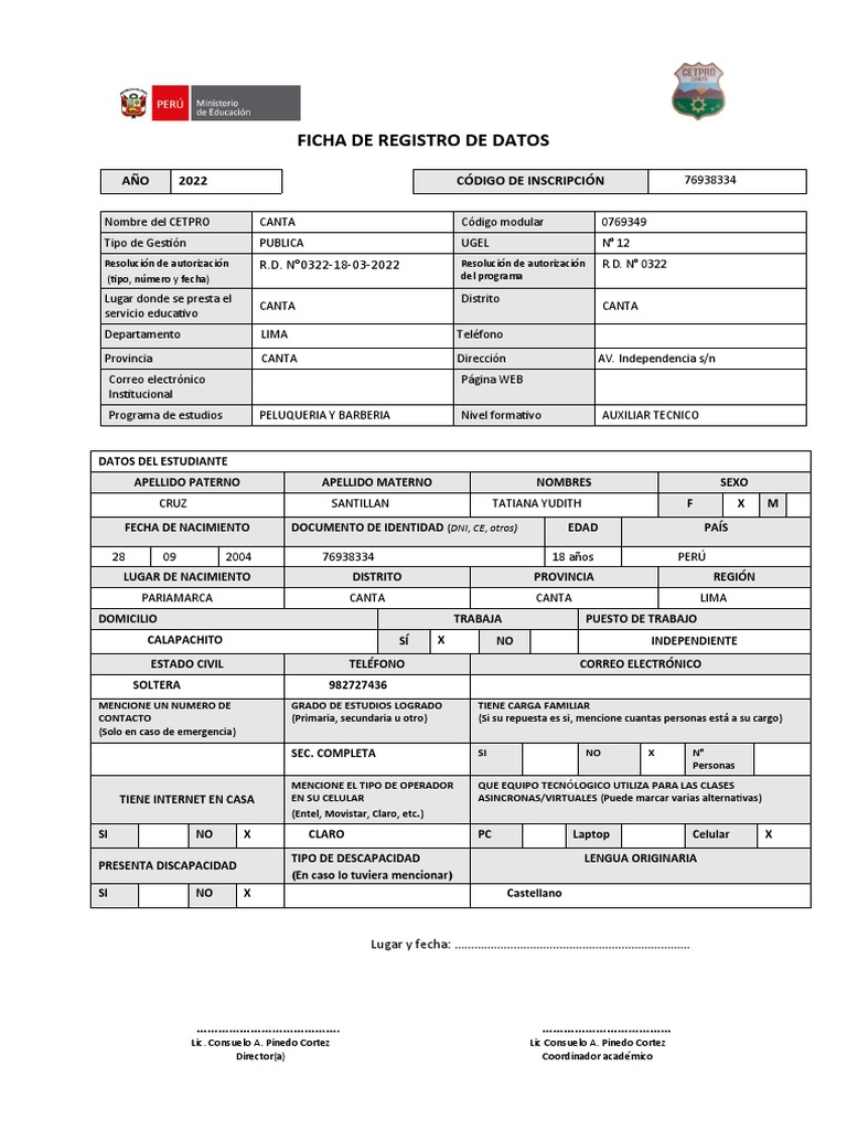 Nuevo Ficha De Registro De Datos Pdf Informática