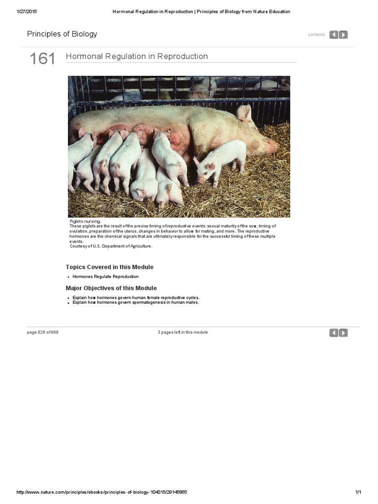 Lecture15 161 Hormone In Reproduction Pdf Luteinizing Hormone