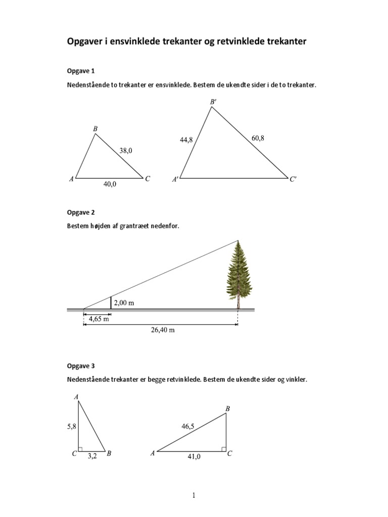 Opgaver Med Ensvinklede Og Retvinklede Trekanter | PDF