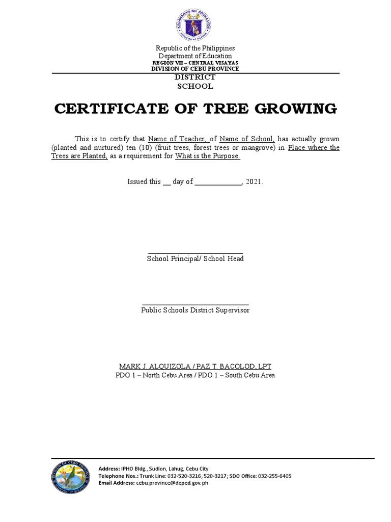 Certificate Format 2021 | PDF