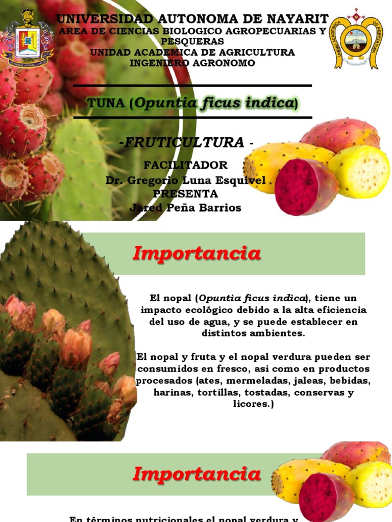 TUNA | PDF | Agua | Suelo