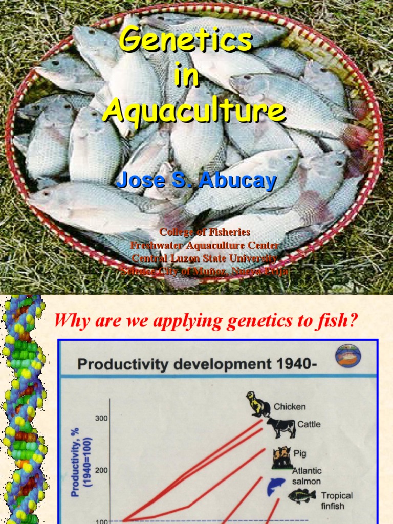 Genetics in Aquaculture | PDF | Dominance (Genetics) | Zygosity