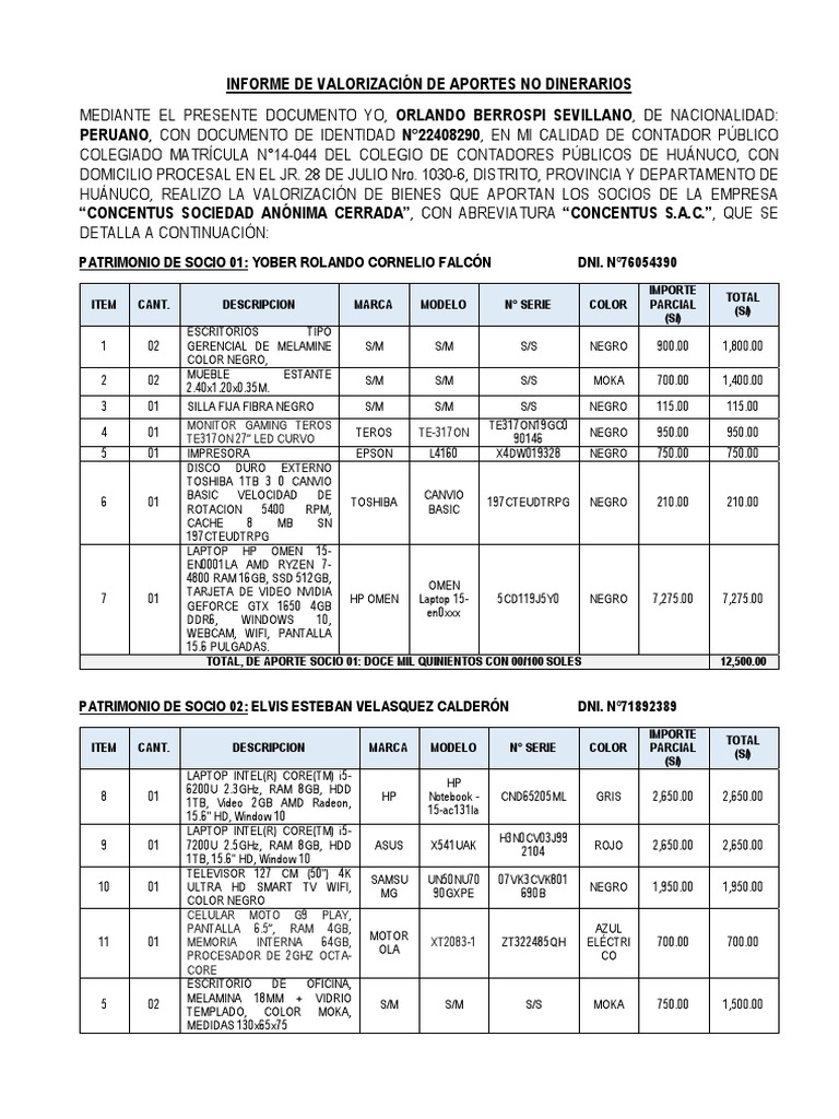 Informe de Valorización - Concentus Sac PDF | PDF | Hardware de la ...