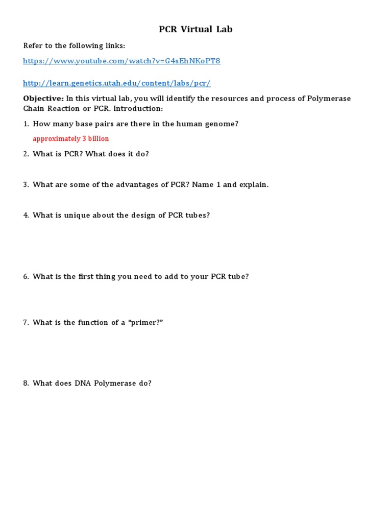 PCR Virtual Lab | PDF