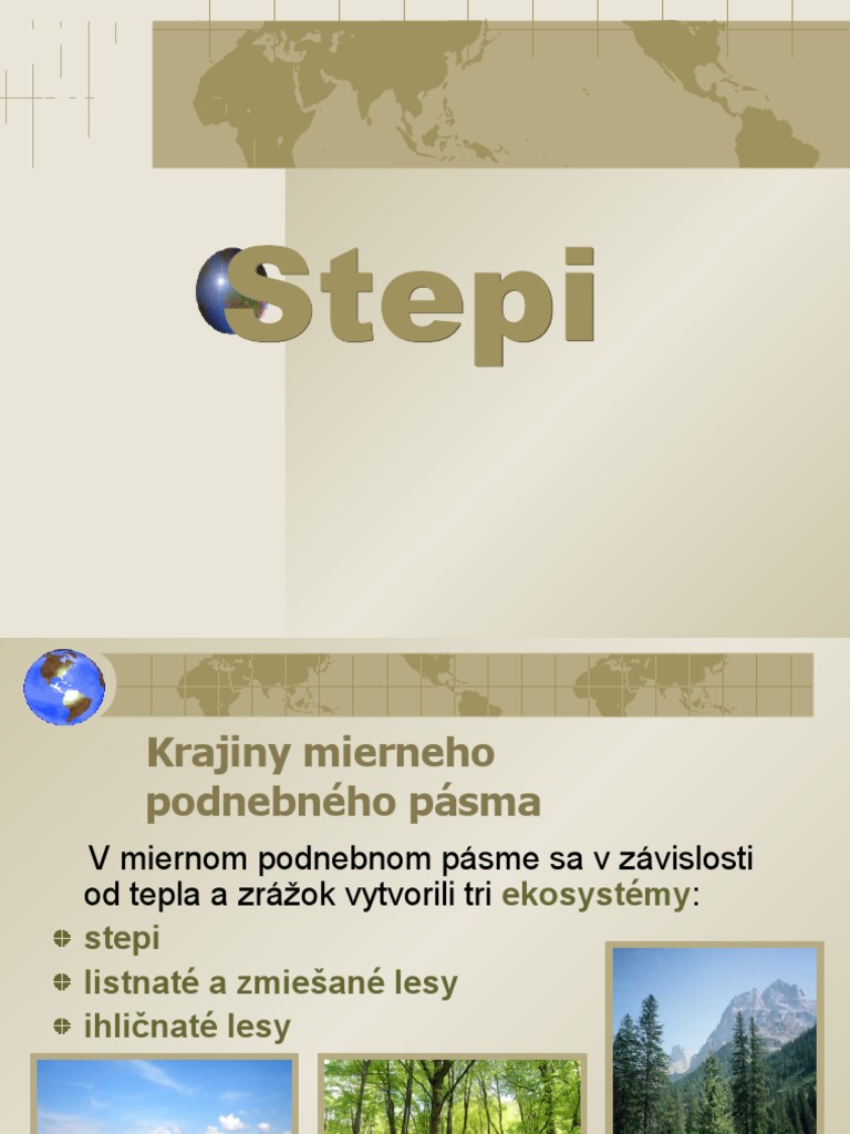 Stepi | PDF