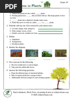 1 Adaptations in Plants Class 4 Notes Science Free PDF | PDF | Habitat ...