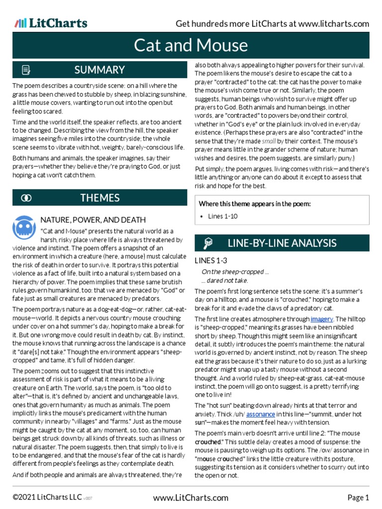 LitCharts-Cat and Mouse Analysis | PDF | Poetry | Prayer