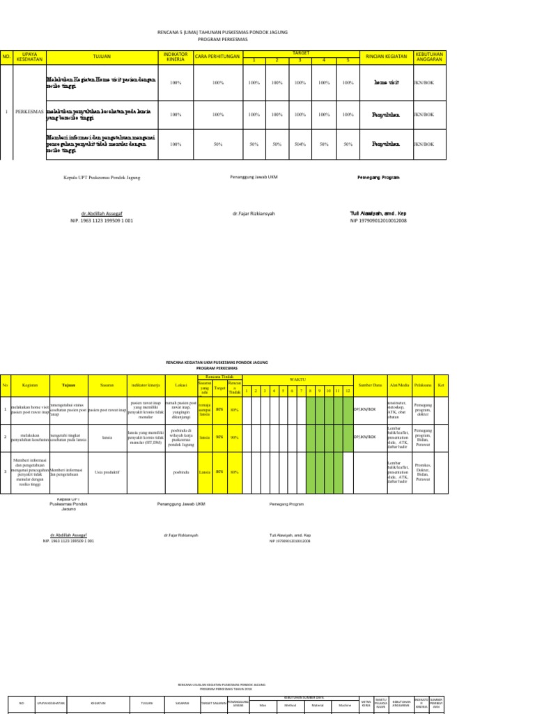 FORMAT RENCANA KEGIATAN Perkesmas | PDF
