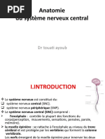 Rôle et anatomie du centre ovale cérébral | PDF | Cerveau | Cortex cérébral