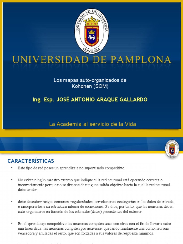 Ing. Esp. José Antonio Araque Gallardo: Los Mapas Auto-Organizados de ... Ing. Esp. José Antonio Araque Gallardo: Los Mapas Auto-Organizados de ...