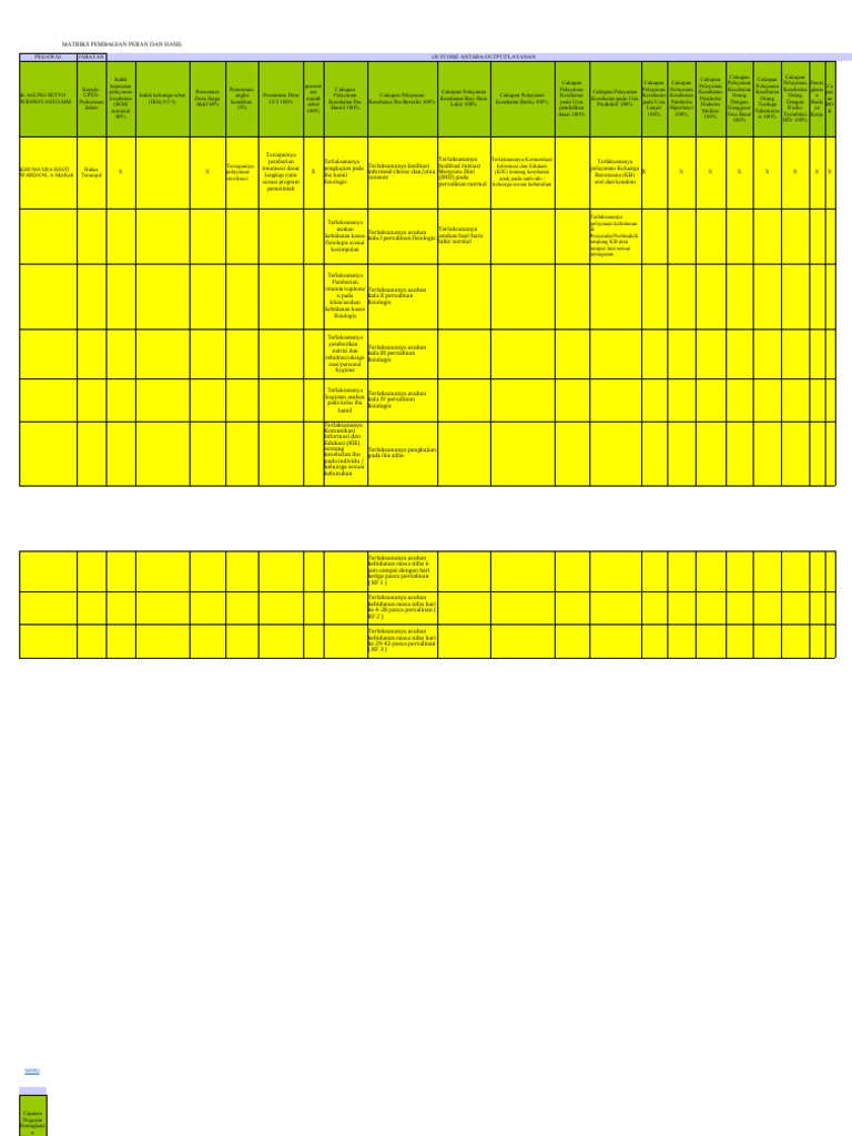 MATRIKS PEMBAGIAN PERAN DAN HASIL | PDF