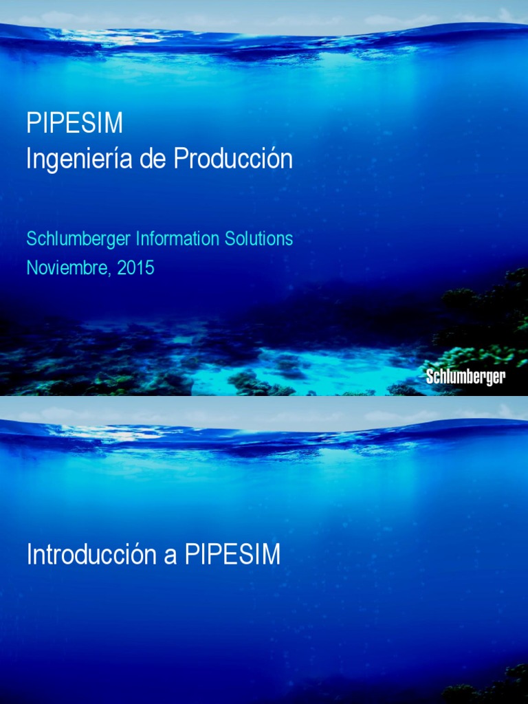 Introduccion A PIPESIM PDF | PDF | Gases | Bomba