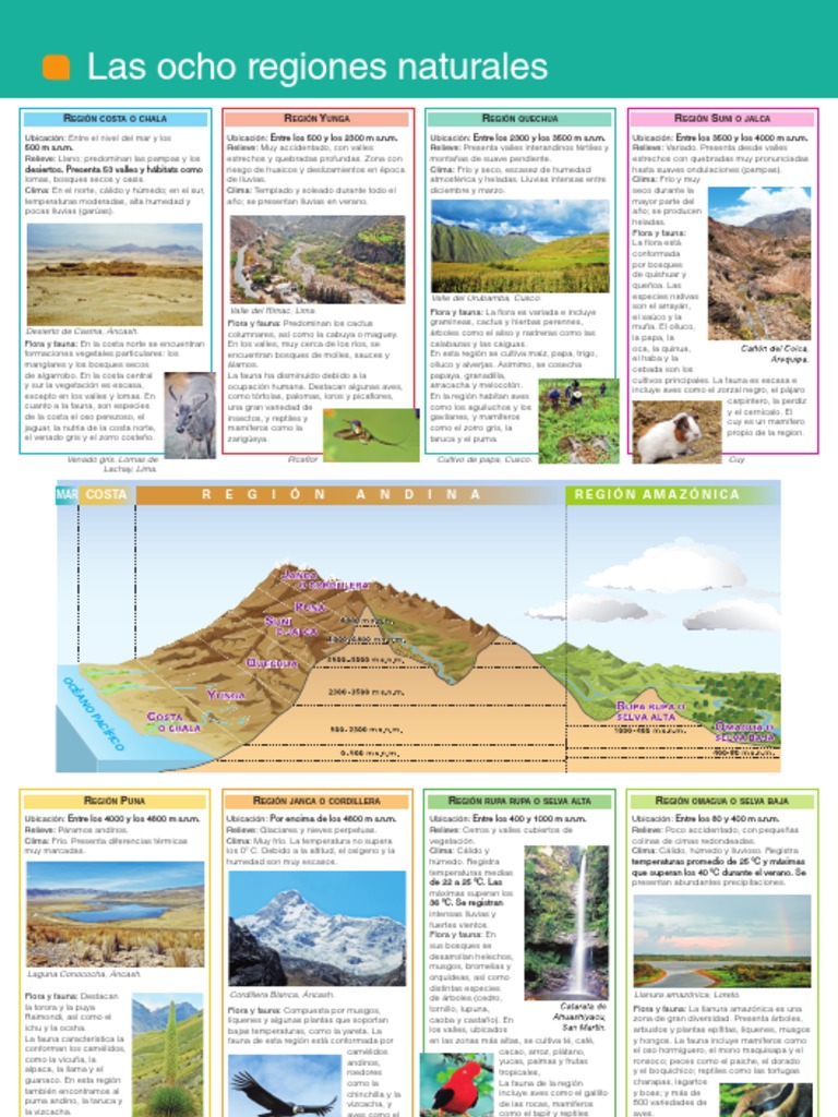 Las 8 Regiones Naturales del Perú | PDF | Ciencias de la Tierra