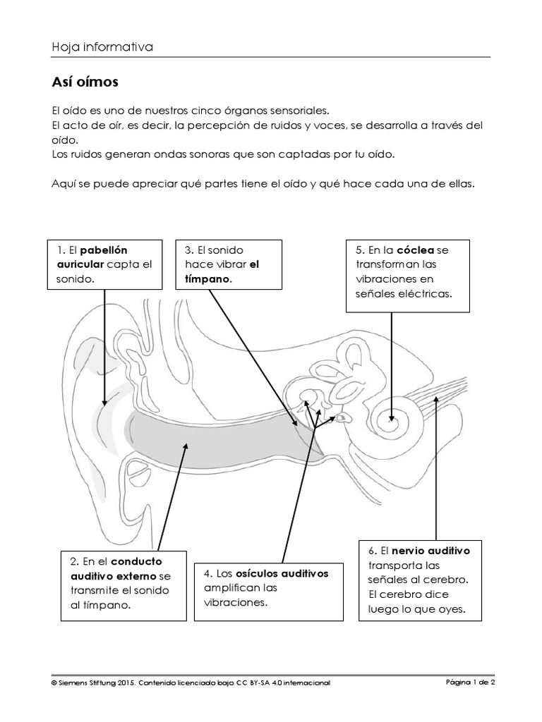 Asi Oimos EP Ccbysa4 | PDF