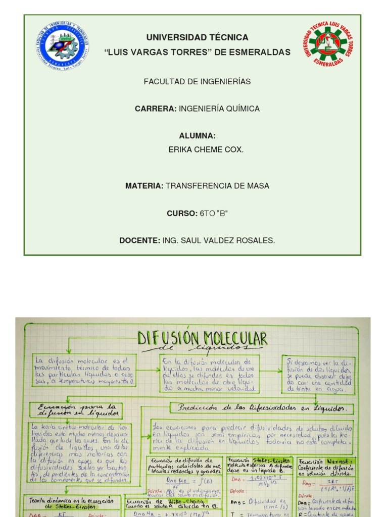 Organizador Grafico... | PDF