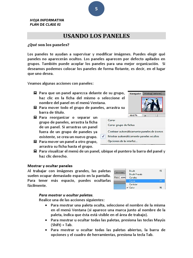 Hoja Informativa 02 - USANDO LOS PANELES | PDF | Ventana (informática) | Software