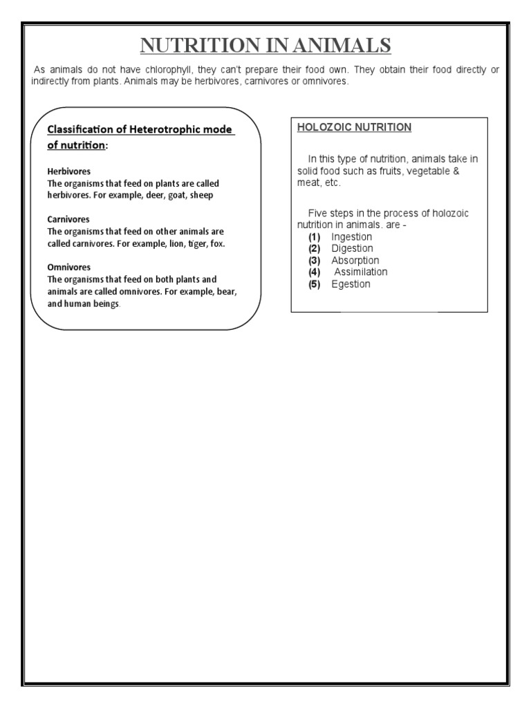 Nutrition in Animals | Download Free PDF | Mouth | Digestion