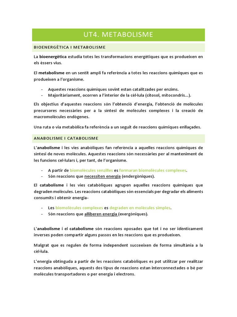 Bioquímica. UT4 | PDF
