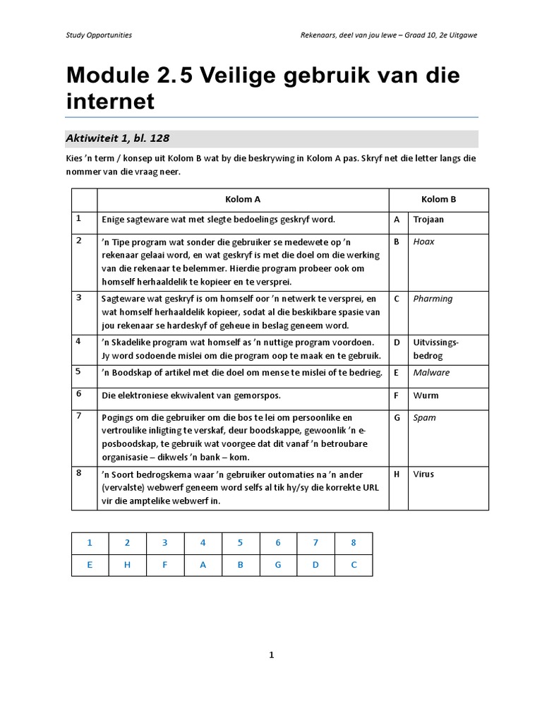 RTT - GR 10 - Module 2.5 - Veilige Gebruik Van Internet - Vrae en Antwoorde - AB | PDF