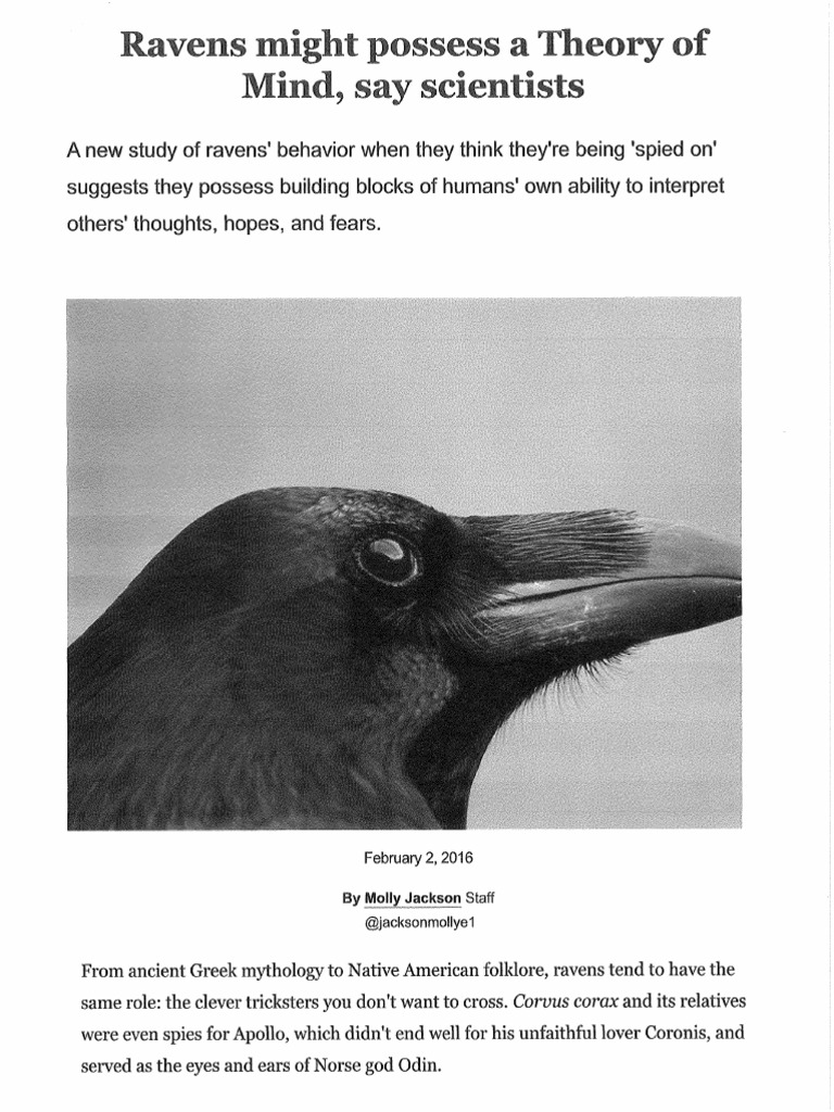 Ravens - Theory of Mind | PDF