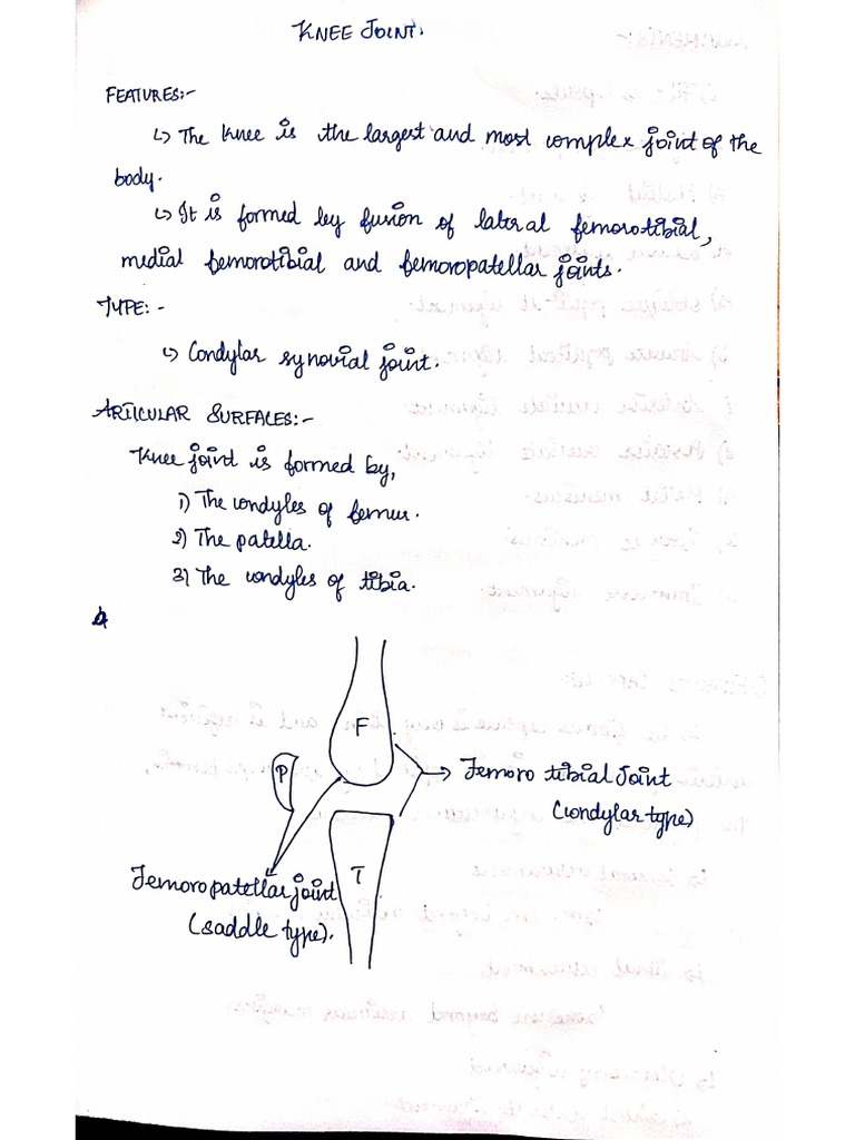 Knee Joint PDF | PDF