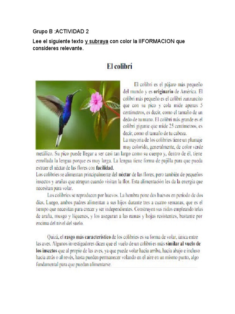 Grupo B EL COLIBRI (Leer y Subrayar) | PDF