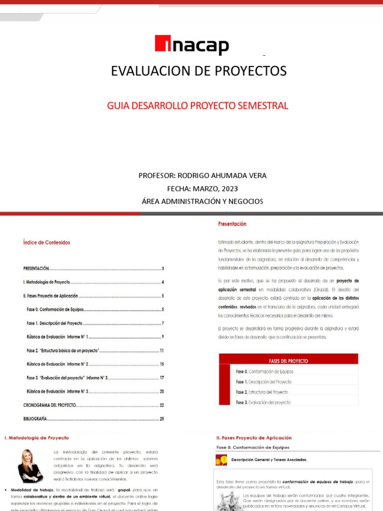 Guia Proyecto Semestral | PDF