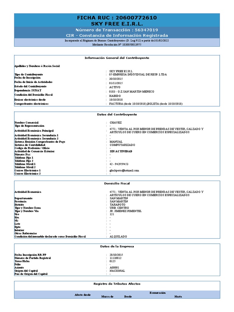 Ficha Ruc Sky | PDF | Industrias de servicio | Economias