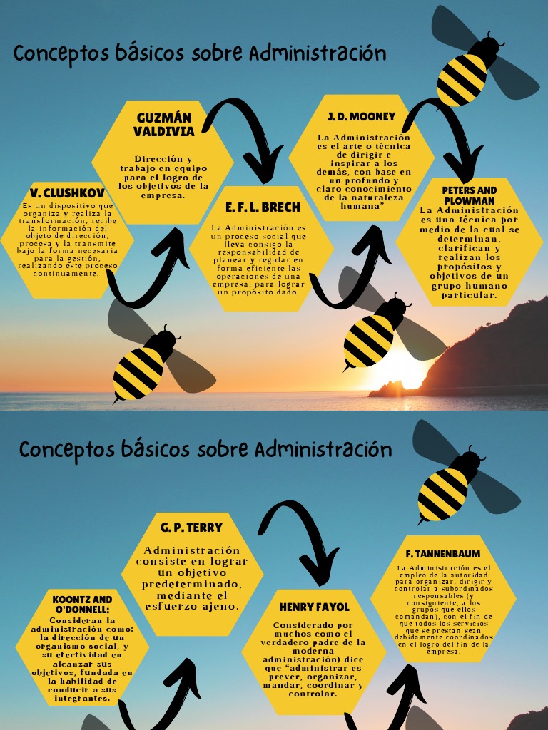 Conceptos Basicos Sobre Administracion EDWIN MATIAS | PDF