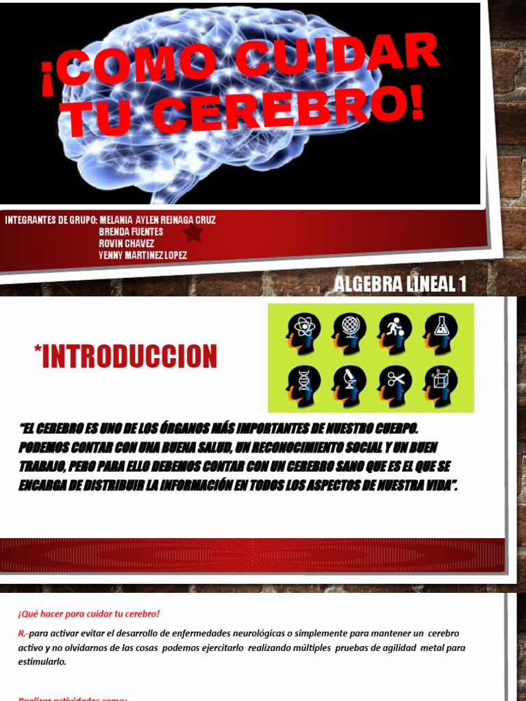 Como Cuidar Tu Cerebro Pdf