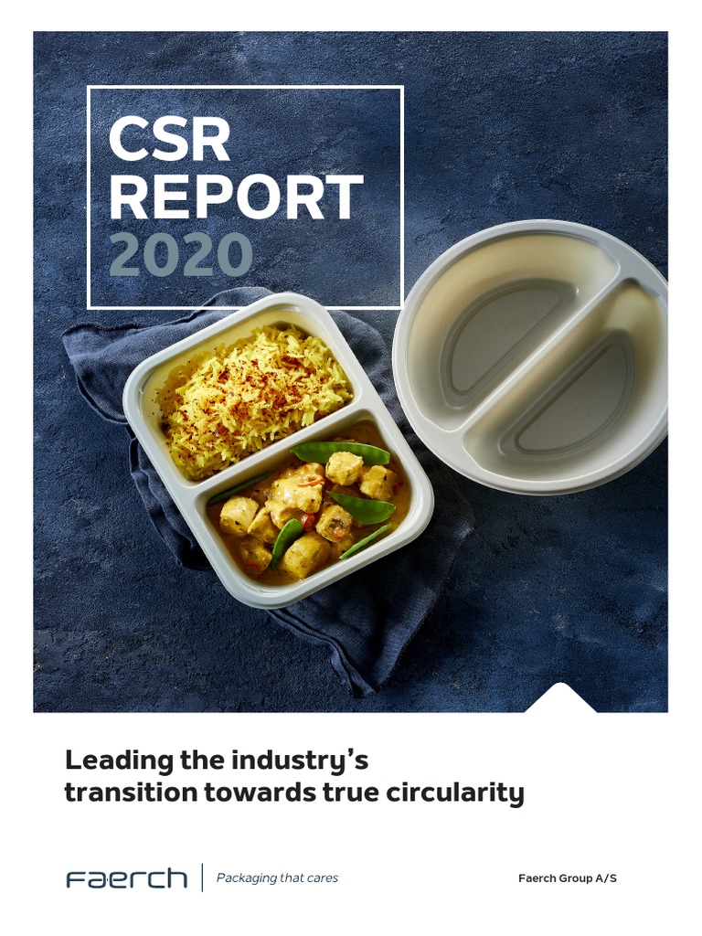 CSR Report 2020 | PDF | Sustainability | Recycling