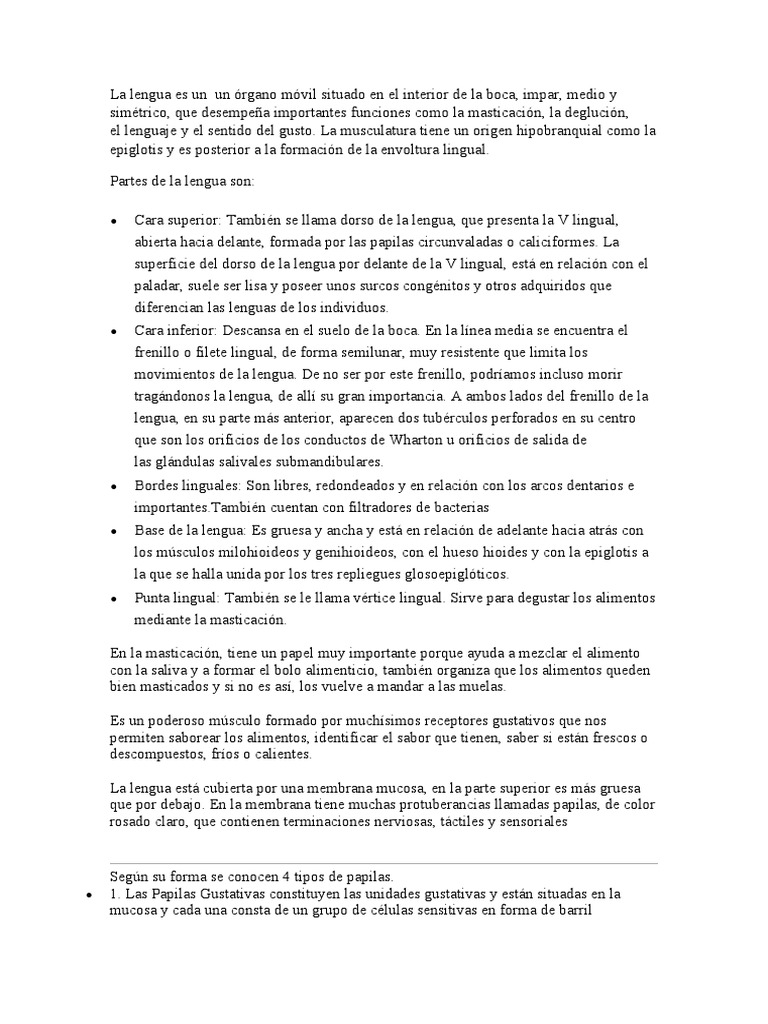 La Lengua | PDF | Lengua | Anatomía
