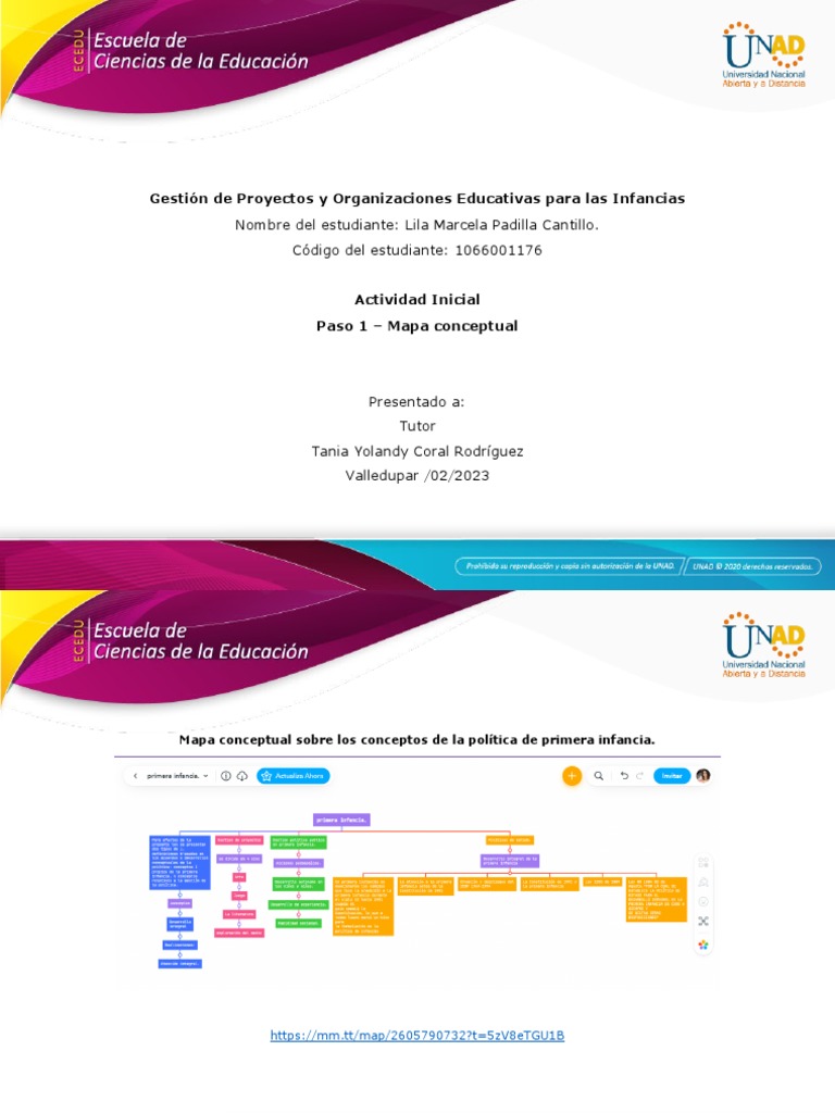 Anexo 1 - Formato Paso 1 - Mapa Conceptual (1) Curso Gestión de Proyectos y Organizaciones ...