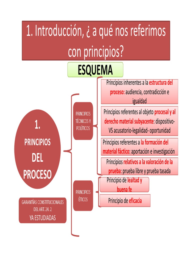 Tema 6 - Introduccion Al Derecho Procesal-Principios Procesales PDF | PDF