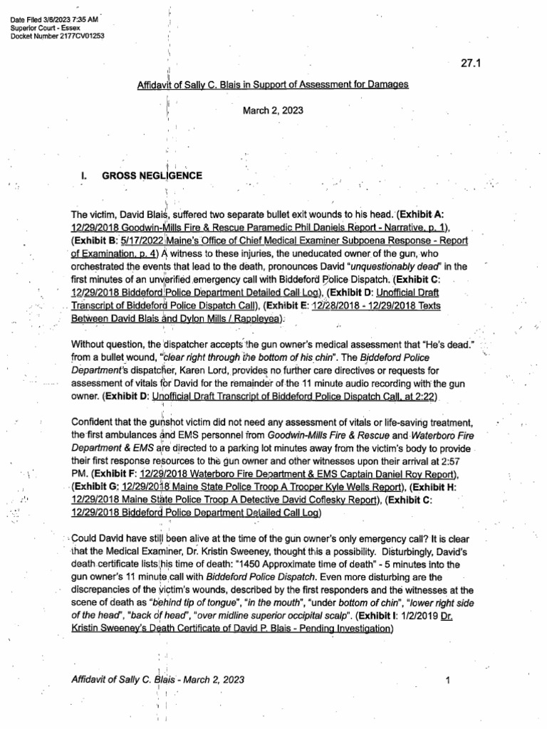 WRONGFUL DEATH - March 3 2023: GROSS NEGLIGENCE - AFFIDAVIT OF ...