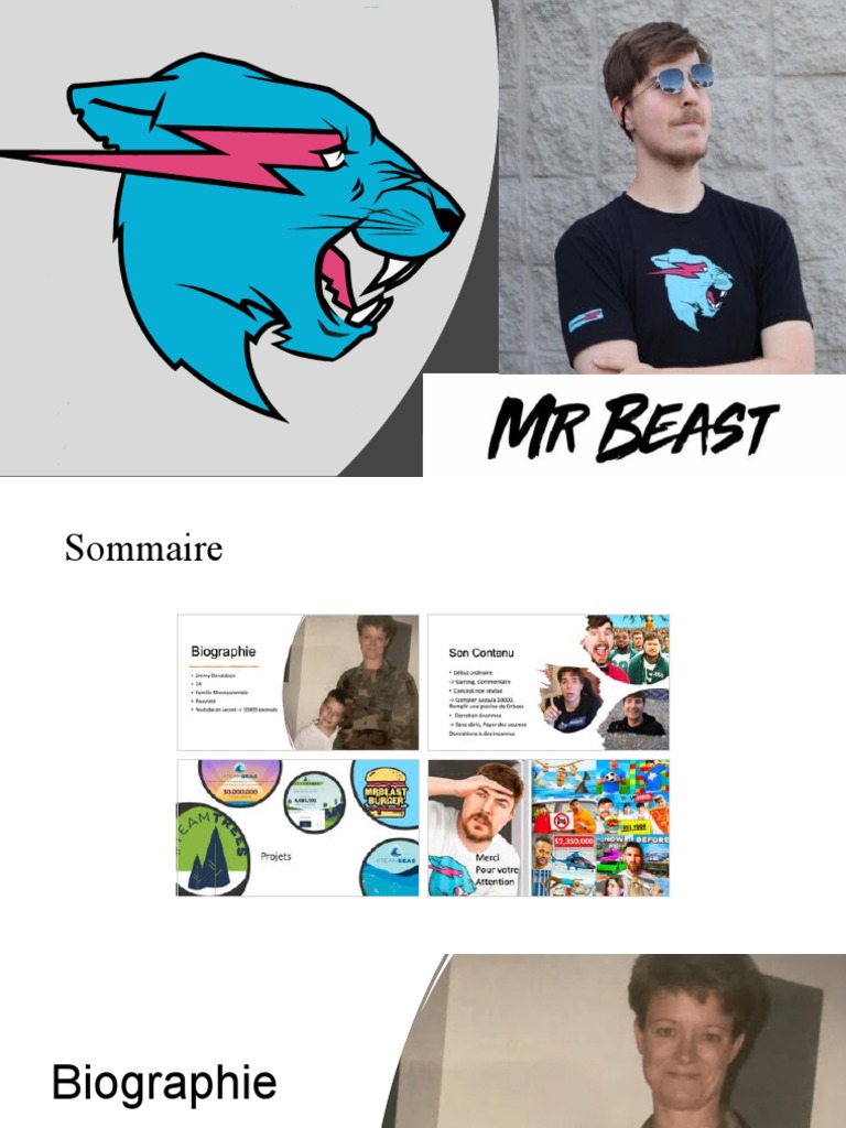 MR Beast | PDF