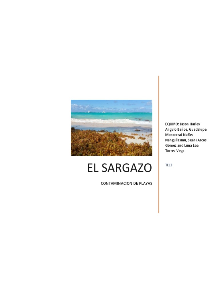 Impacto del Sargazo en Playas Mexicanas | PDF | Ciencias de la Tierra | Ciencia medioambiental