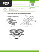 La flor: partes y funciones para niños | PDF | Flores | Fruta
