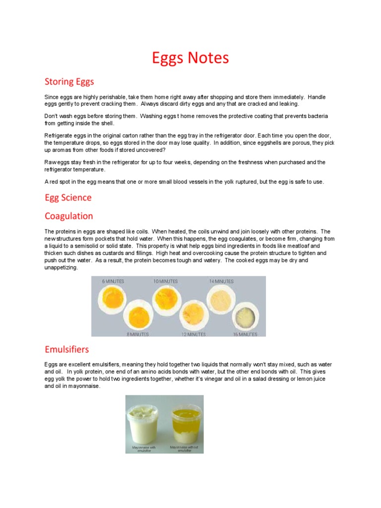 Egg Notes | PDF | Meringue | Egg As Food