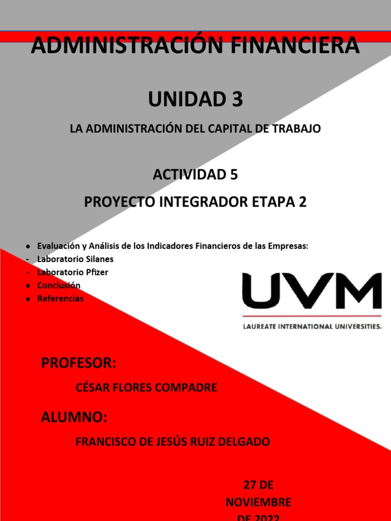 Actividad 5 - Proyecto Integrador Etapa 2 | PDF | Capital de trabajo | Deuda