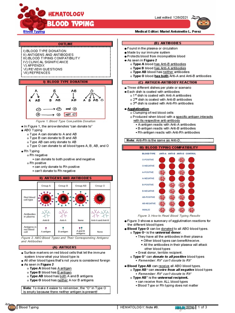 Blood Typing PDF | PDF | Blood Type | Clinical Pathology