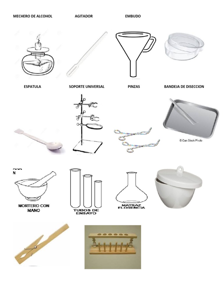 Herramientas de Laboratorio Esenciales | PDF