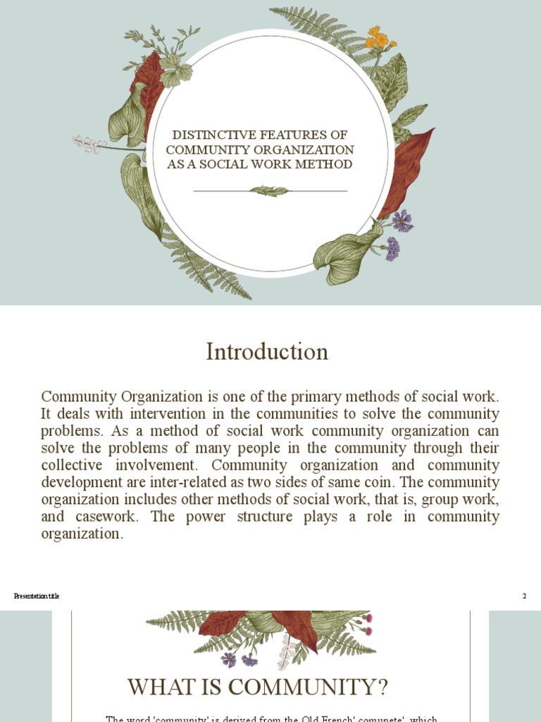 Distinctive Features of Community Organization As A Social | PDF ...
