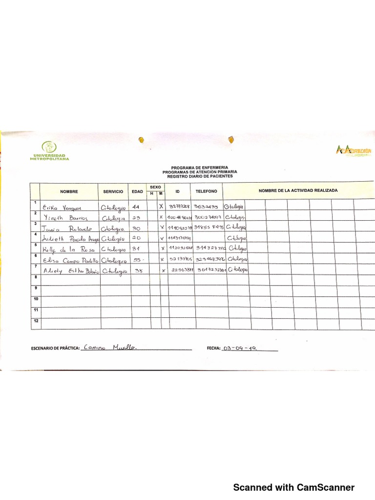 Registro Diario de Pacientes | PDF