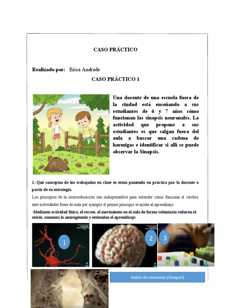 Proyecto ABP | PDF | Aprendizaje | Cerebro