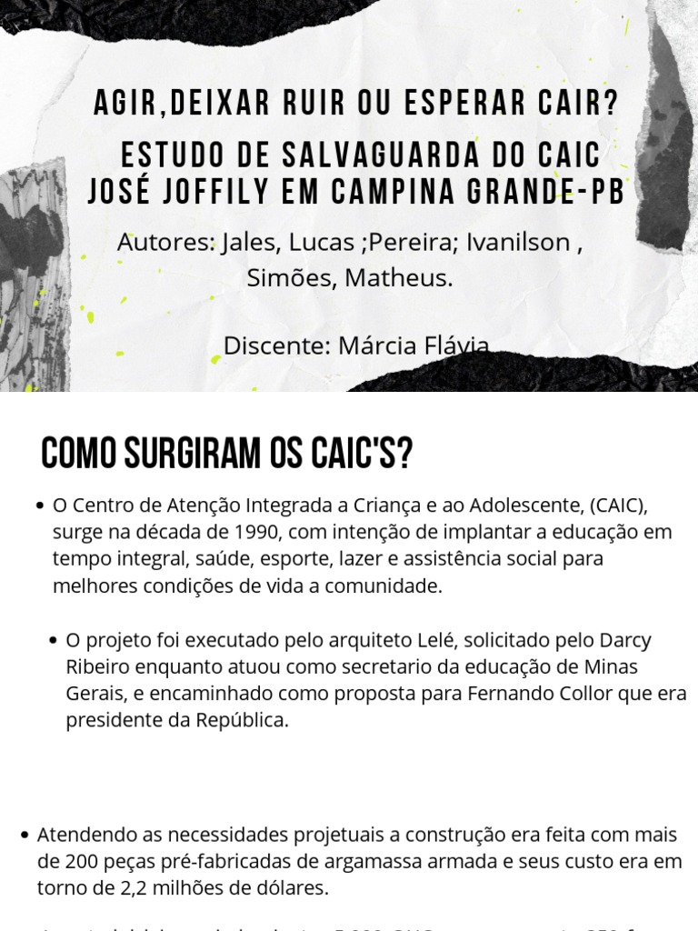 Caic Jose Joffily | PDF