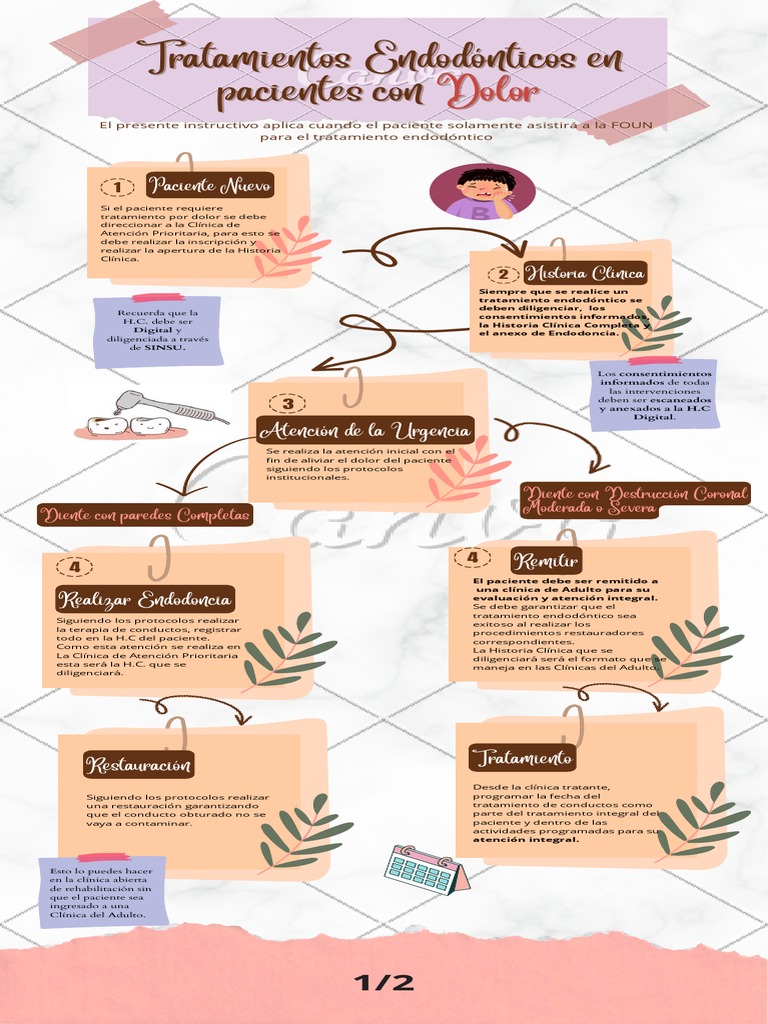 Anexo 2. Infografia Endo | PDF | Historial médico | Enfermedades y trastornos