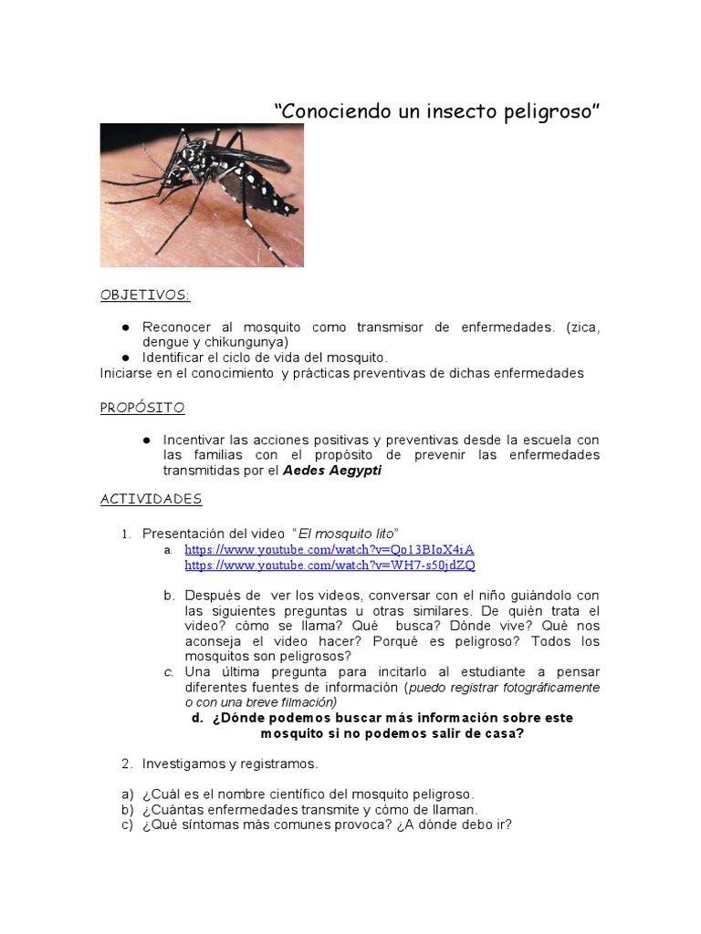Conociendo Un Insecto Peligroso | PDF | Mosquito